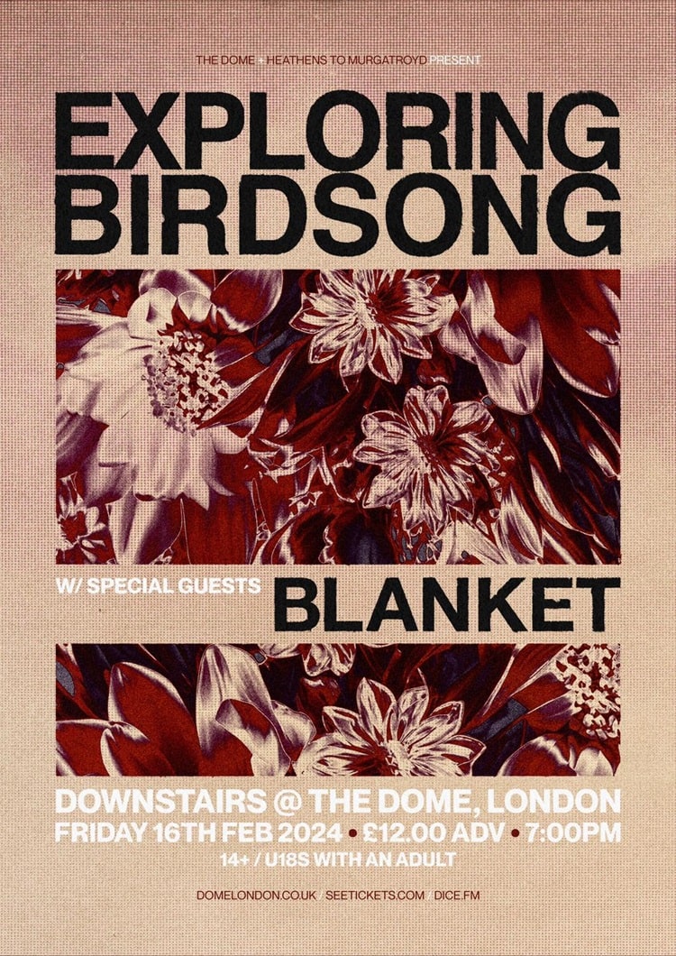 UK alt-pop trio Exploring Birdsong reveal new single 'The Collapse ...